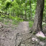 Frick Park Tour Loop Trail, Pennsylvania - 1,313 Reviews, Map | AllTrails