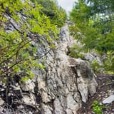 Turtle Mountain Trail, Alberta, Canada - 885 Reviews, Map | AllTrails