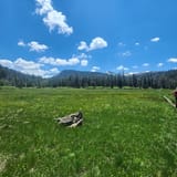 Big Meadow to Round Lake, California - 823 Reviews, Map | AllTrails