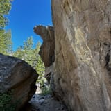 Cub Lake Loop, Colorado - 2,210 Reviews, Map | AllTrails