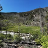 Cub Lake Loop, Colorado - 2,210 Reviews, Map | AllTrails