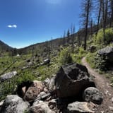 Cub Lake Loop, Colorado - 2,210 Reviews, Map | AllTrails