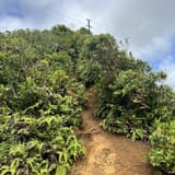 Pauoa Flats via Kalawahine Trail, Oahu, Hawaii - 1,211 Reviews, Map ...