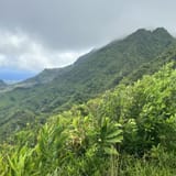Pauoa Flats via Kalawahine Trail, Oahu, Hawaii - 1,211 Reviews, Map ...