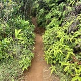 Pauoa Flats via Kalawahine Trail, Oahu, Hawaii - 1,211 Reviews, Map ...