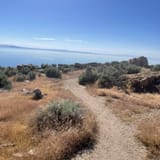 Buffalo Point Trail, Utah - 1,225 Reviews, Map | AllTrails