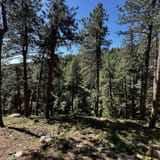 Shanahan Ridge Trail, Colorado - 3,383 Reviews, Map | AllTrails