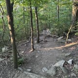 Bear's Den Park Trail, Virginia - 2,772 Reviews, Map | AllTrails
