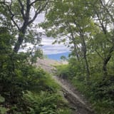 Busby Trail, Spruce Hill Lost Pond and Blackburnian Loop, Massachusetts ...