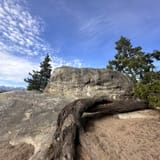 Cheese Rock Trail, Washington - 437 Reviews, Map | AllTrails