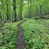 Greenstone Ridge Trail: Windigo to Tobin Harbor, Michigan - 69 Reviews ...