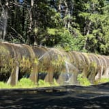 Toketee Falls, Oregon - 2,224 Reviews, Map | AllTrails