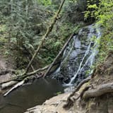Dickerson Falls, Washington - 2,443 Reviews, Map | AllTrails