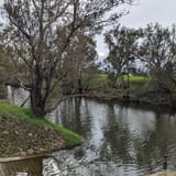 Pinjarra Murray River Walk, Western Australia, Australia - 20 Reviews ...