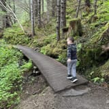 Tonsina Creek Trail, Alaska - 1,479 Reviews, Map | AllTrails