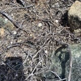 Bon Tempe Lake Loop, California - 2,083 Reviews, Map | AllTrails