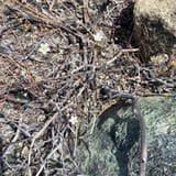 Bon Tempe Lake Loop, California - 2,083 Reviews, Map | AllTrails