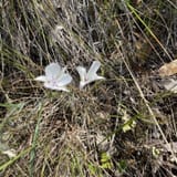 Bon Tempe Lake Loop, California - 2,083 Reviews, Map | AllTrails