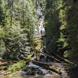 Proxy Falls Loop, Oregon - 1,230 Reviews, Map | AllTrails