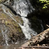 Mima Falls Loop, Washington - 1,686 Reviews, Map | AllTrails