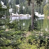 Thorp Lake via Thorp Creek Trail, Washington - 171 Reviews, Map | AllTrails