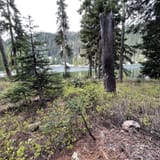 Thorp Lake via Thorp Creek Trail, Washington - 141 Reviews, Map | AllTrails