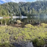Thorp Lake via Thorp Creek Trail, Washington - 171 Reviews, Map | AllTrails