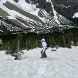 Piegan Pass Trail, Montana - 150 Reviews, Map | AllTrails
