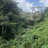 Oloolua Nature Trail, Rift Valley, Kenya - 29 Reviews, Map | AllTrails