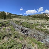 Emma Lake Trail, California - 158 Reviews, Map | AllTrails