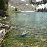Emma Lake Trail, California - 158 Reviews, Map | AllTrails