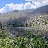 Cub Lake Loop, Colorado - 2,195 Reviews, Map | AllTrails