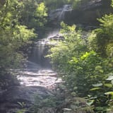 Hidden Falls Trail, South Carolina - 721 Reviews, Map | AllTrails
