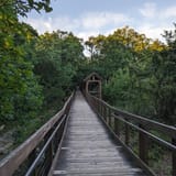 (Doug Ghee) Bald Rock Boardwalk, Alabama - 540 Reviews, Map | AllTrails
