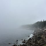 Ocean Path Trail, Maine - 3,554 Reviews, Map | AllTrails