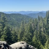 Big Tree Loop, Oregon - 71 Reviews, Map | AllTrails