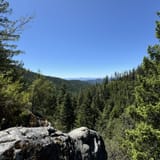 Big Tree Loop, Oregon - 70 Reviews, Map | AllTrails