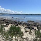 Bluff Point State Park and Coastal Reserve Loop, Connecticut - 3,989 ...