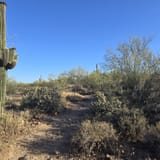 Apache Wash Loop Trail, Arizona - 2,180 Reviews, Map | AllTrails