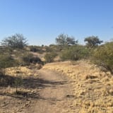 Apache Wash Loop Trail, Arizona - 2,033 Reviews, Map | AllTrails