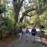 Sea Pines Forest Preserve, South Carolina - 900 Reviews, Map | AllTrails