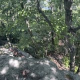 Peters Mountain Ridge via Appalachian Trail, Pennsylvania - 1,581 ...