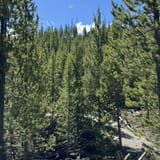 Grand Prismatic Hot Spring Overlook Trail, Montana - 3,529 Reviews, Map ...