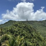Mount Britton Tower Trail, Puerto Rico - 1,823 Reviews, Map | AllTrails