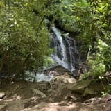 Soco Falls Trail, North Carolina - 784 Reviews, Map | AllTrails