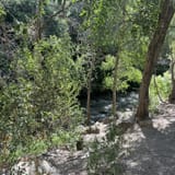 Dripping Rock Falls, Utah - 744 Reviews, Map | AllTrails