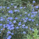 Dripping Rock Falls, Utah - 743 Reviews, Map | AllTrails