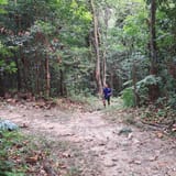 Bukit Dinding via Kazumi Trail, Kuala Lumpur, Malaysia - 205 Reviews ...
