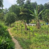 Bukit Dinding via Kazumi Trail, Kuala Lumpur, Malaysia - 205 Reviews ...