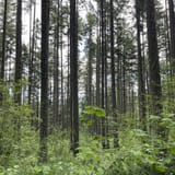 Amanda's Trail, Oregon - 156 Reviews, Map | AllTrails